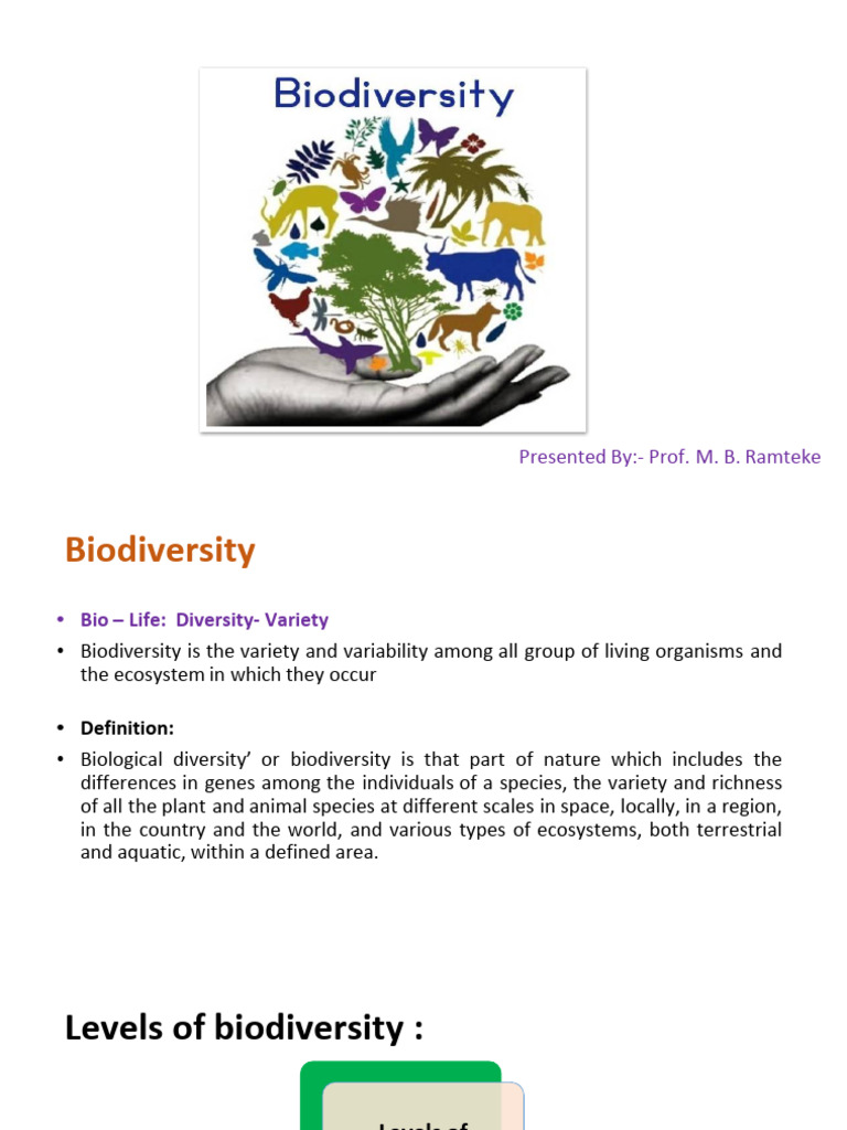 Biodiversity | PDF