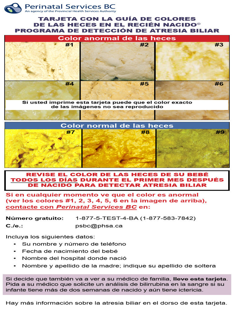 Guía de Colores de Heces en Bebés | PDF | Wellness | Science & Mathematics