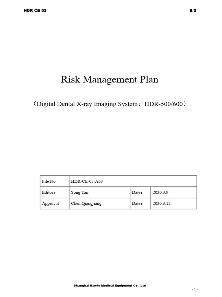 Risk Management Plan | PDF