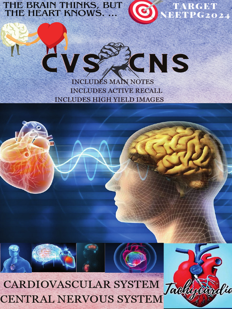 CVS & CNS | PDF