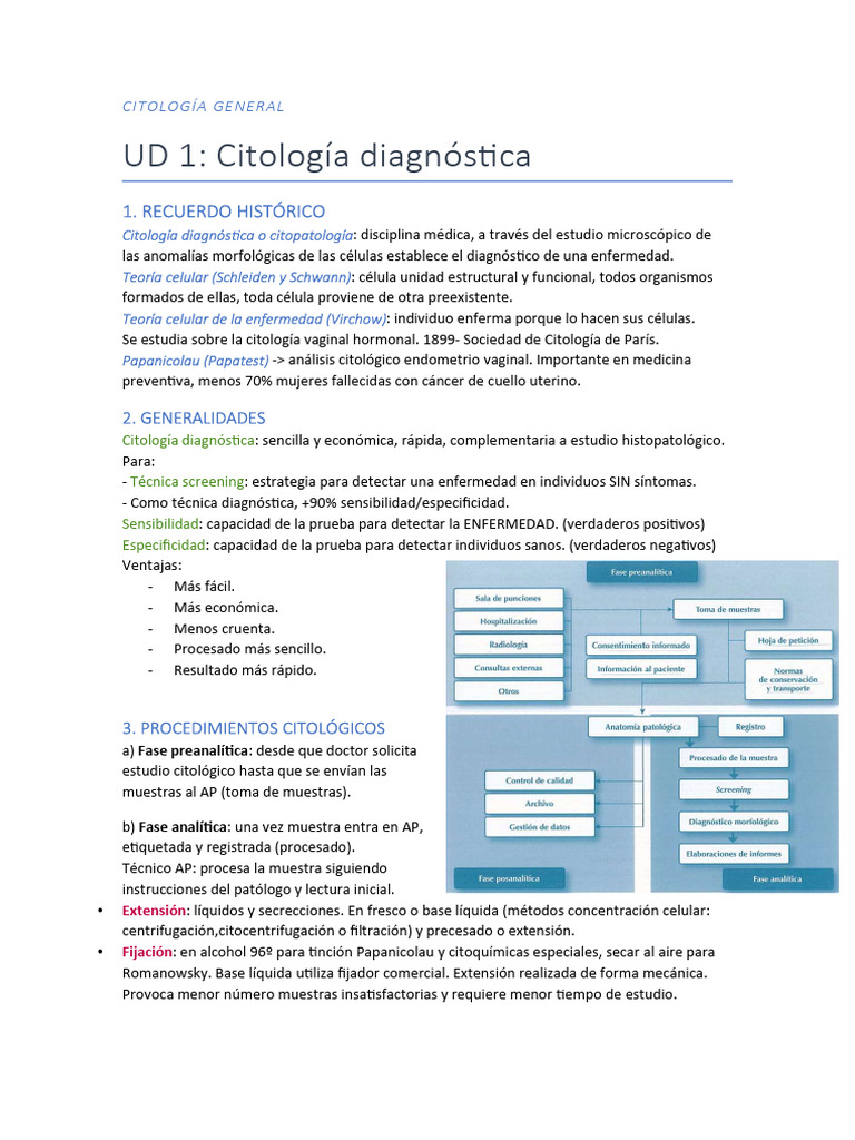 Citología General UD 1 | PDF