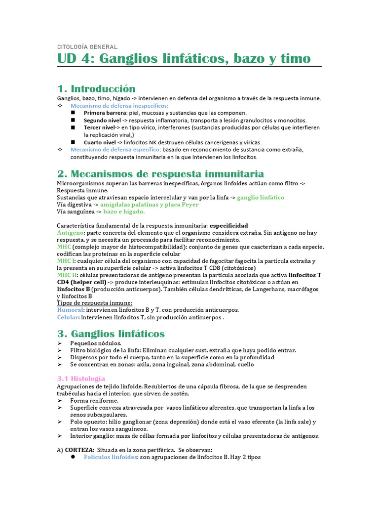Citología General UD 4 | PDF | Ganglio linfático | Linfocitos