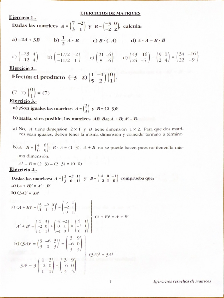 Tema 1 Matrices Actividades | PDF