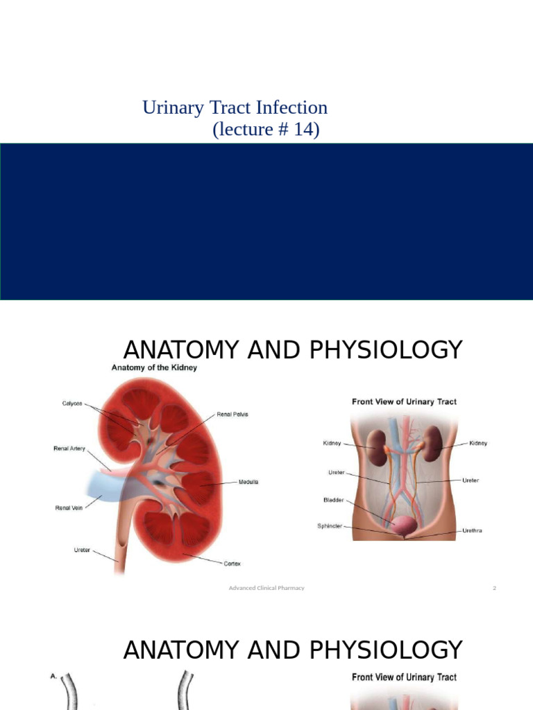 Urinary Tract Infection | PDF