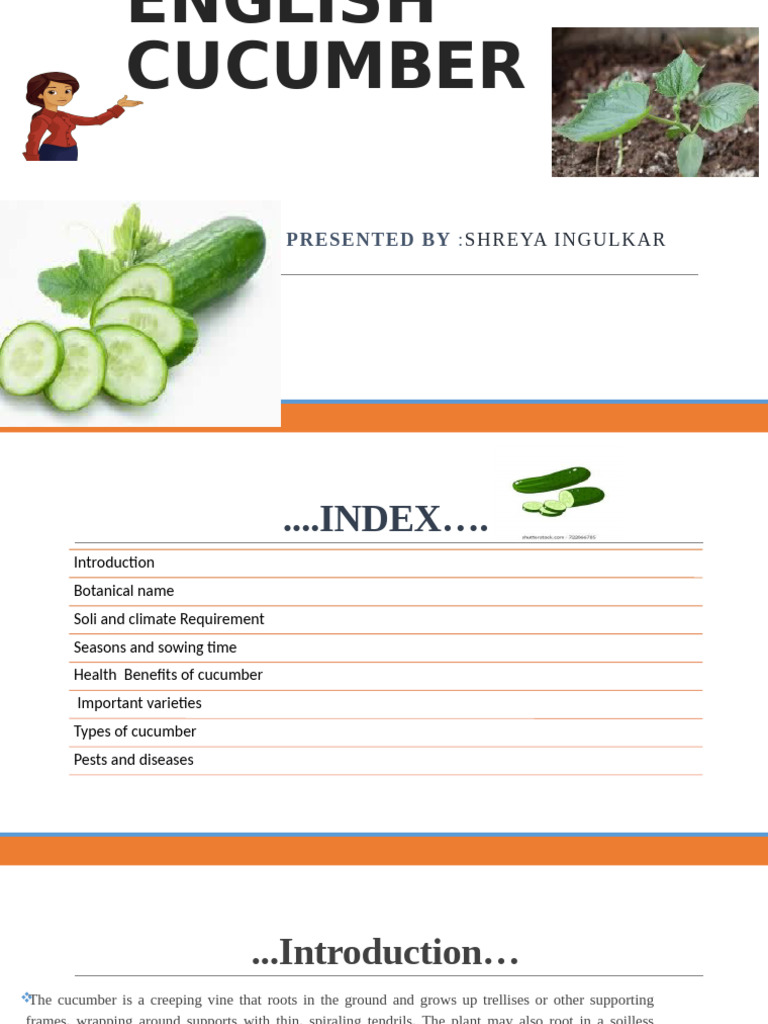 English Cucumber | PDF