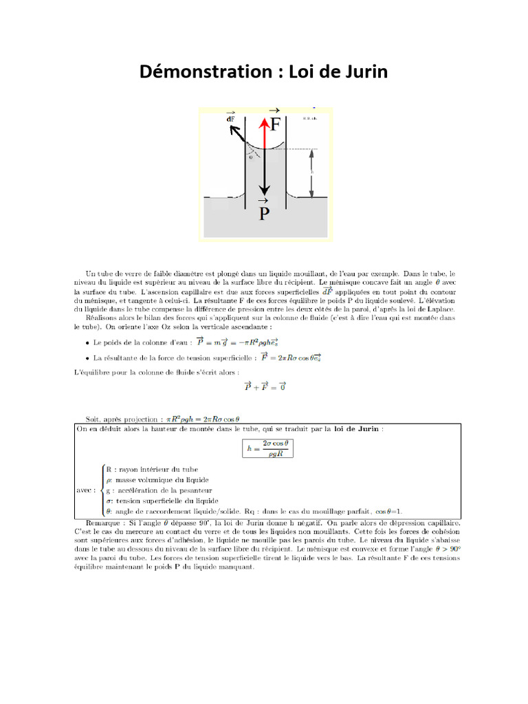 Loi de Jurin 2 | PDF