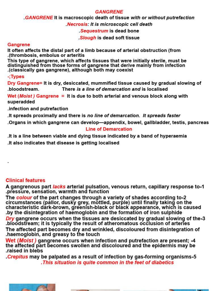 Gangrene | PDF