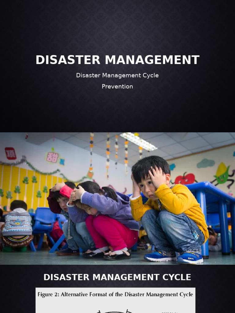 Disaster Prevention | PDF