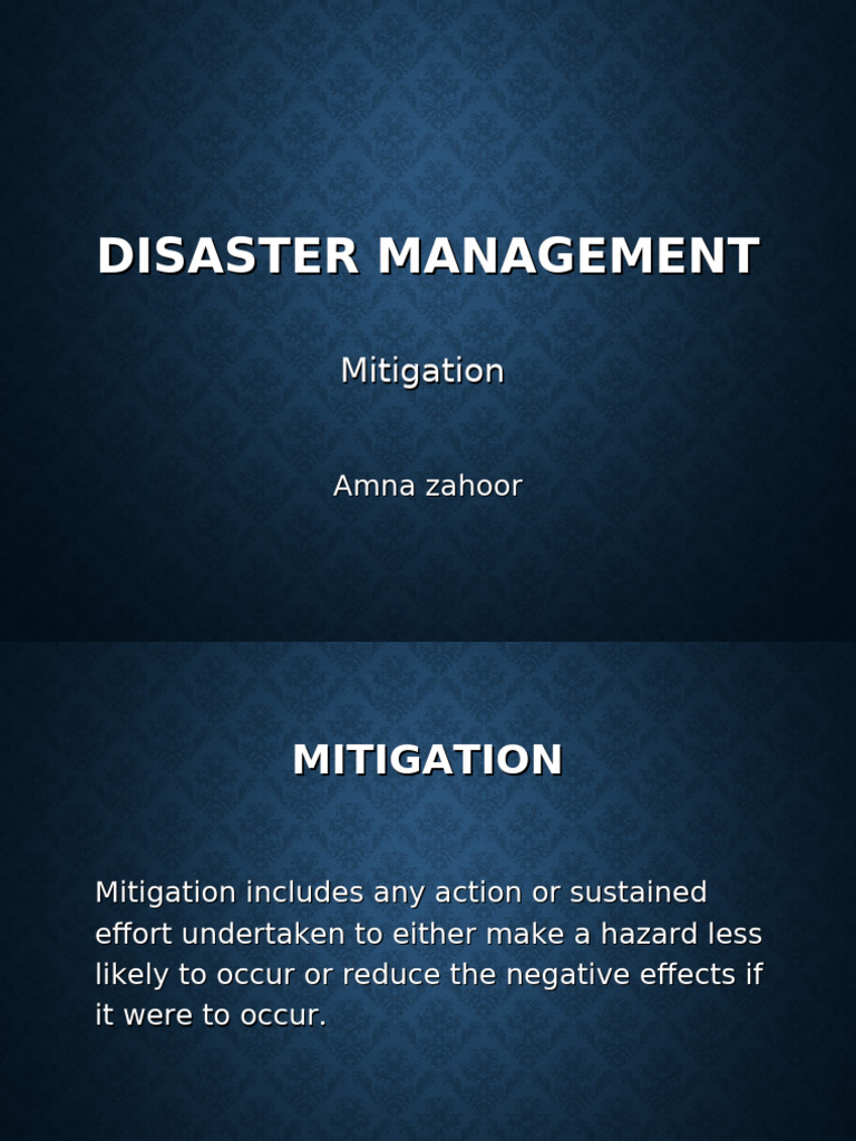 Disaster Mitigation | PDF