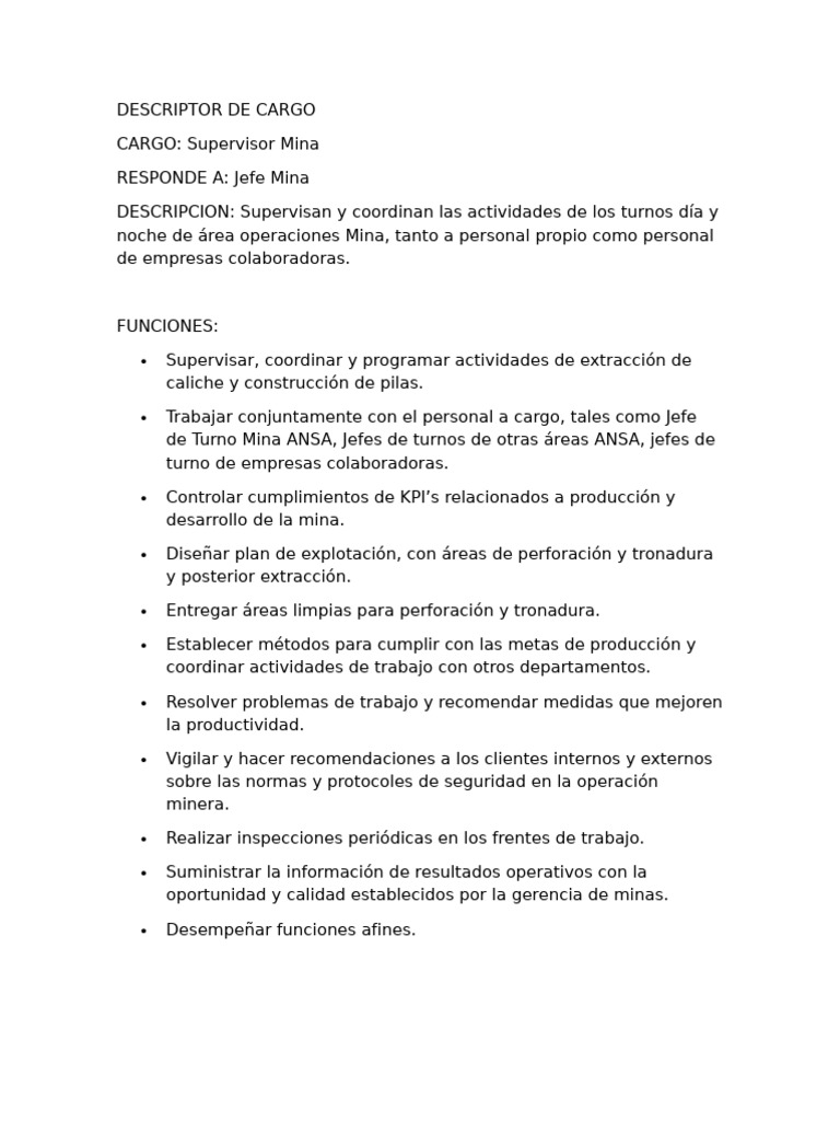 Descriptor de Cargo | PDF