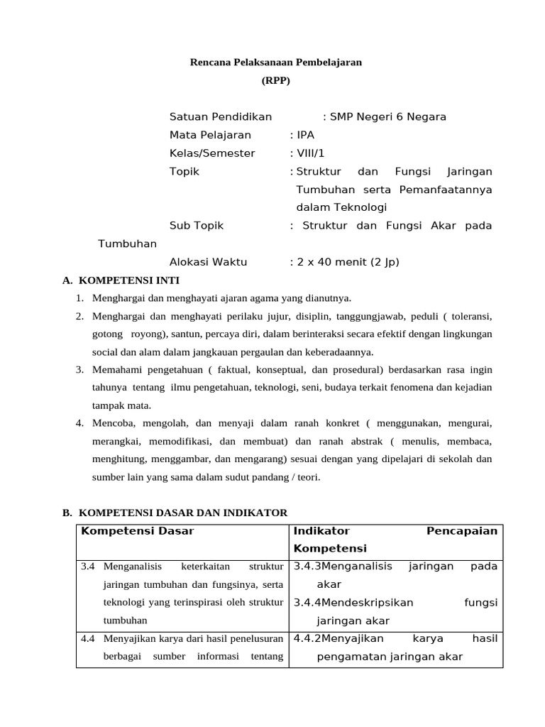 Struktur Dan Fungsi Jaringan Akar | PDF