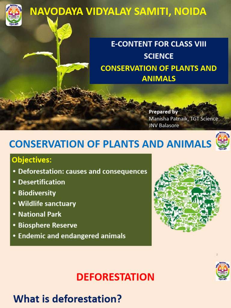 Conservation | PDF