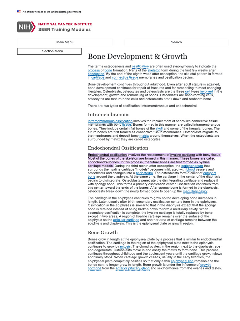 Bone Development & Growth - SEER Training | PDF