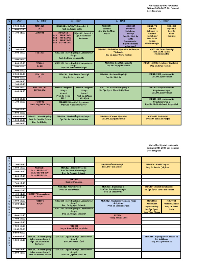 MBG Lisans 2024 2025 Guz Donemi Ders Programi - 0 1.docx 1 | PDF