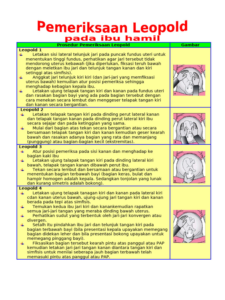Prosedur Pemeriksaan Leopold | PDF