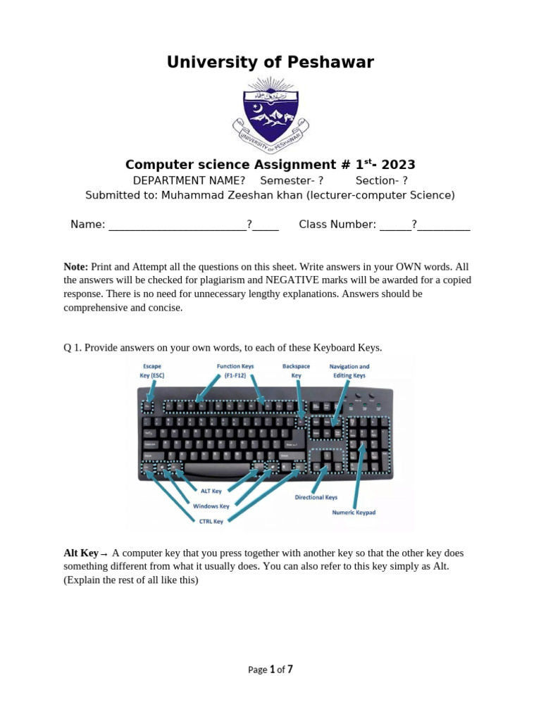 Assignment#1st - Computer-2024 | PDF | Computer Keyboard | Games & Activities