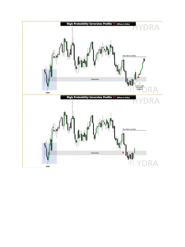 Macro Inversion Hydra | PDF