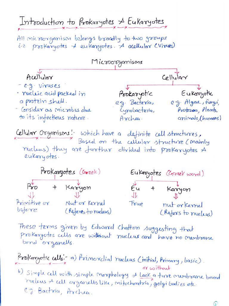 Prokaryotic vs Eukaryotic Cells Overview | PDF | Prokaryote | Organisms