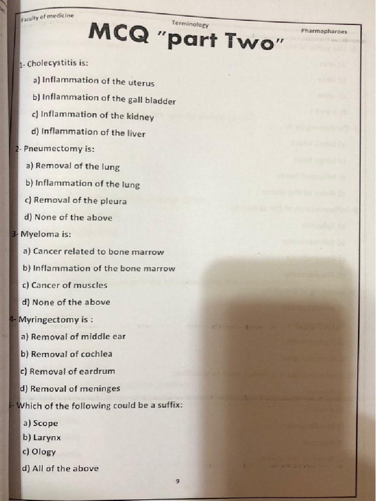 Terminology MCQ 1 | PDF