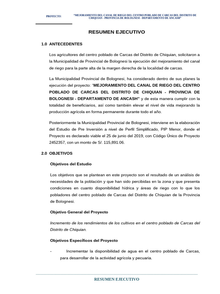 Resumen Ejecutivo | PDF