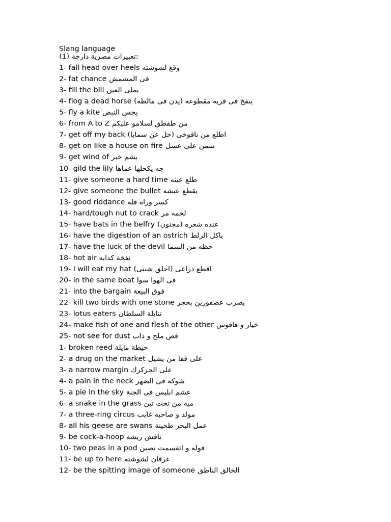 Slang Language | PDF