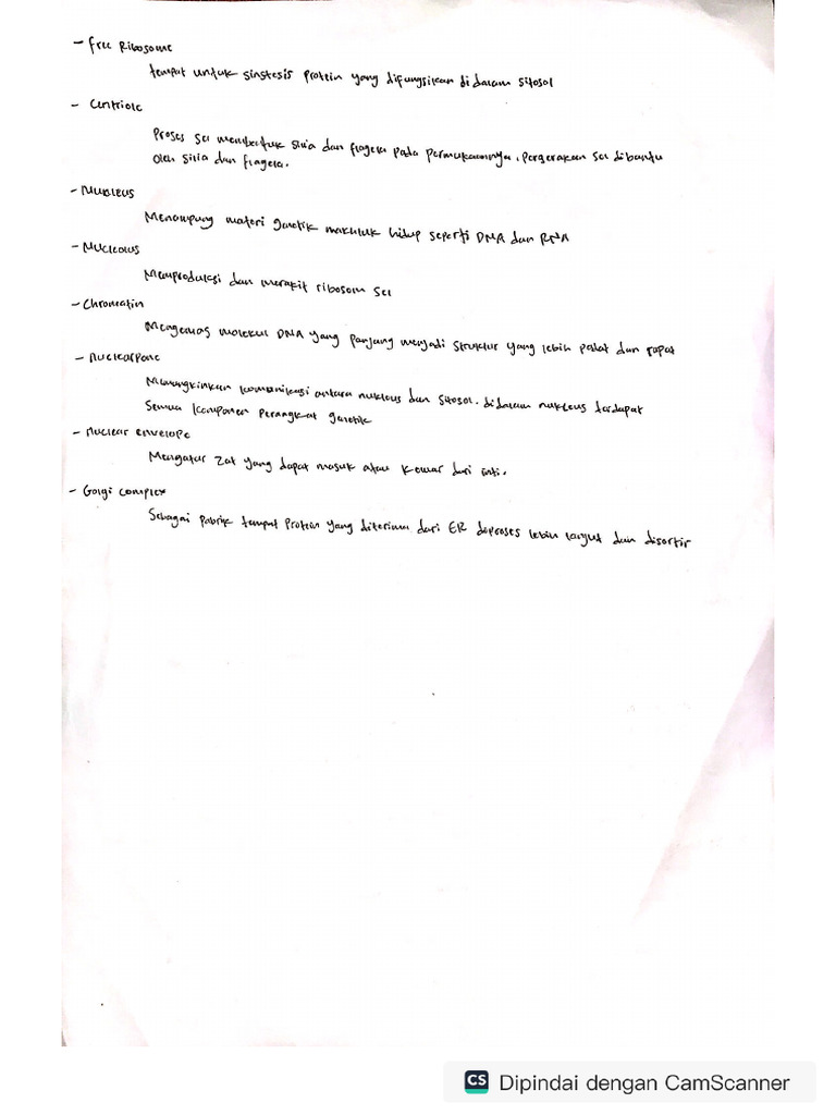 Anatomi Dan Fisiologi Salsabila R.hi Ahmad | PDF