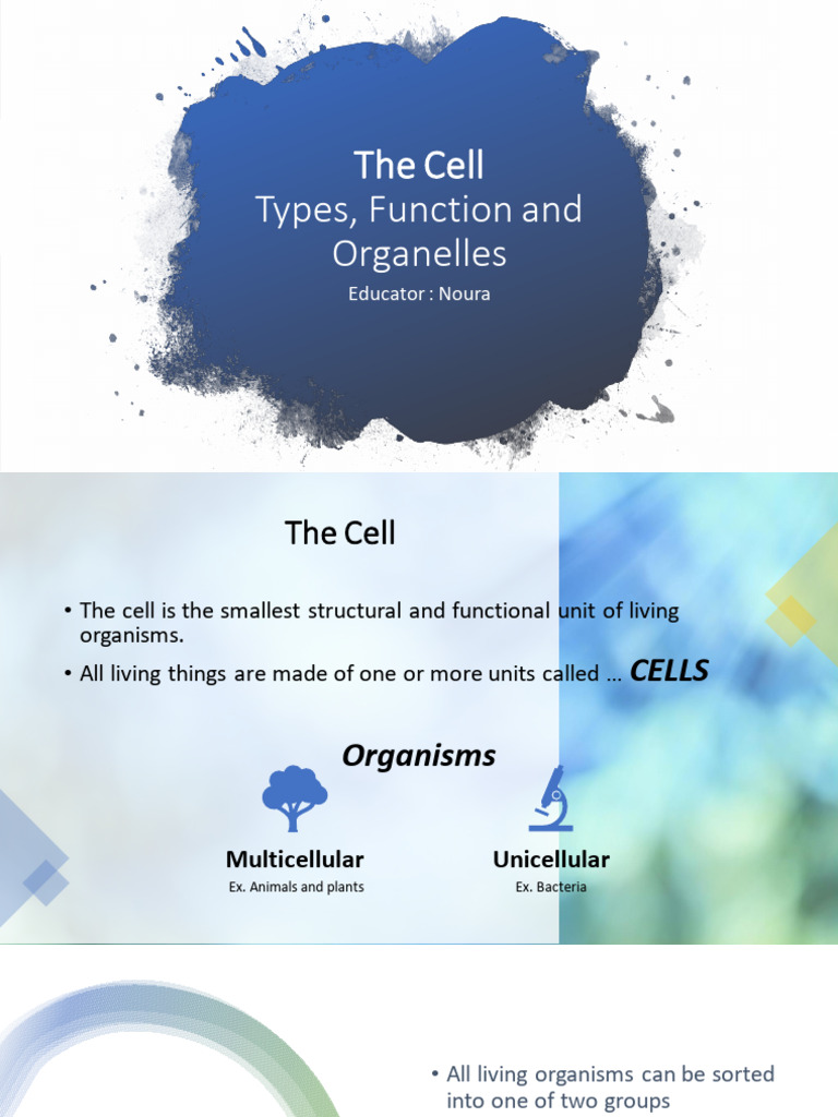 The Cell Lab 1 | PDF