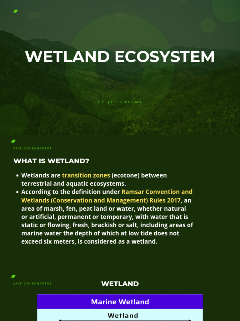 L-4 Wetland Ecosystem | PDF