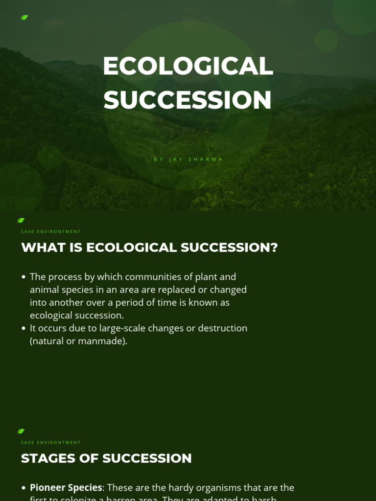 L-2 Ecological Succession | PDF