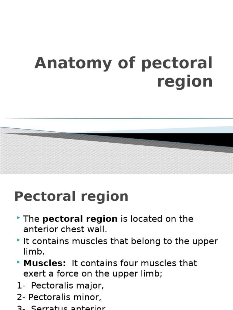Anatomy of Pectoral Region New | PDF