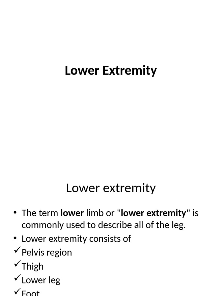 Anatomy of Lower Limb | PDF