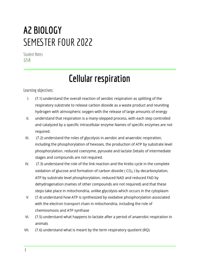 Cellular Respiration | PDF