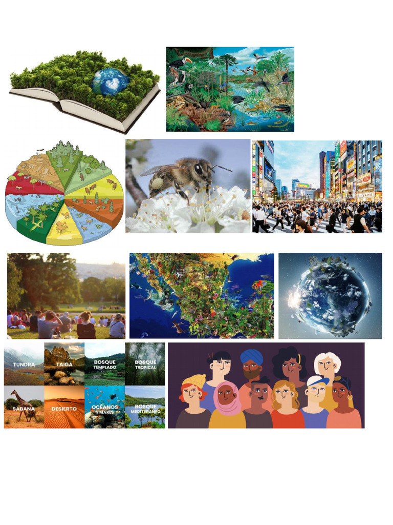 Ecología y Filosofía | PDF