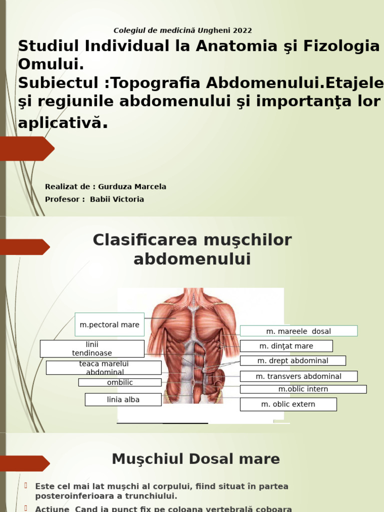 Studiu Individual La Anatomia Şi Fizologia Omului NR 2 - Copie | PDF