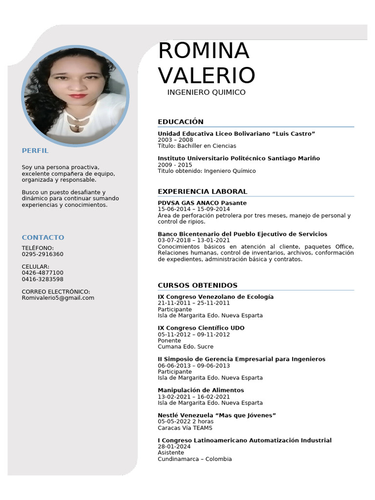 PERFIL | PDF