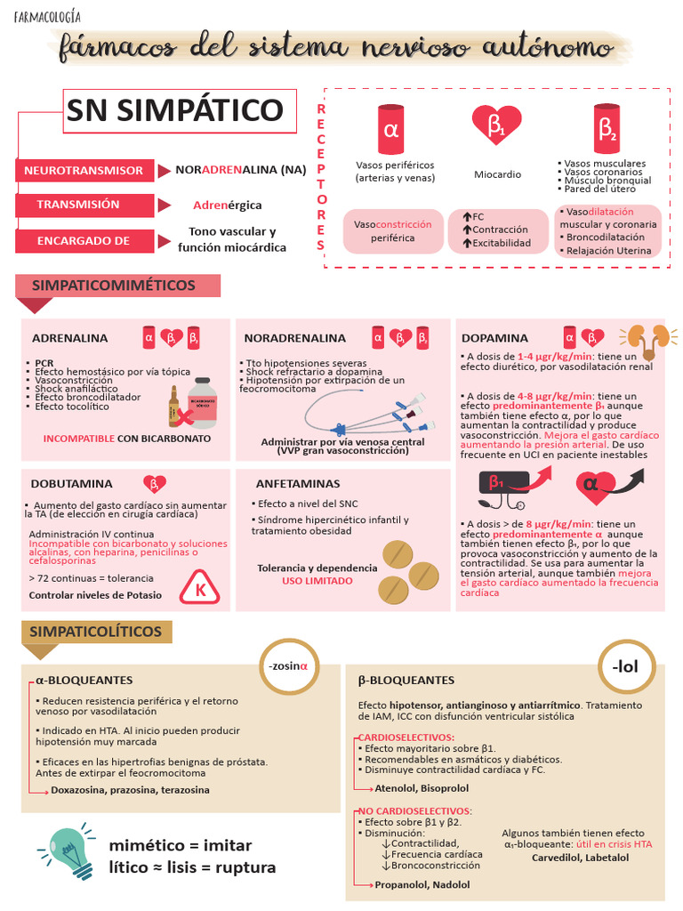 Farmacos Del Sna - Simpatico | PDF
