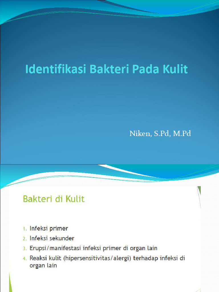 UTS-2. Identifikasi Bakteri Infeksi Pada Kulit | PDF