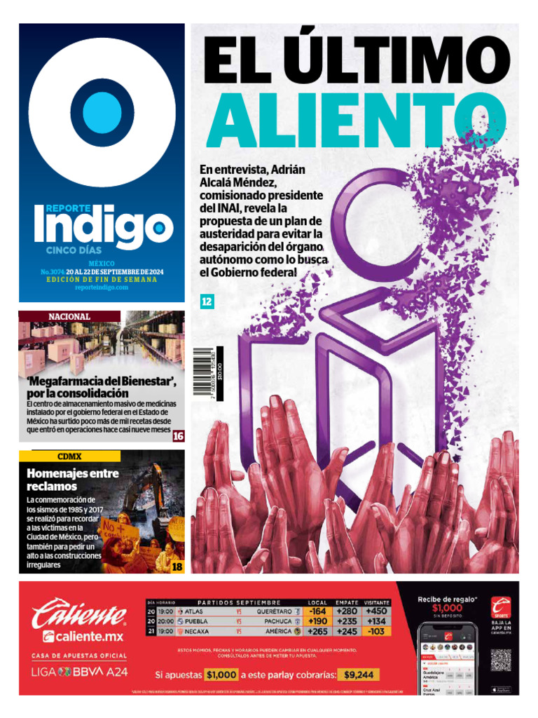 Reporte Índigo 20 09 2024 | PDF