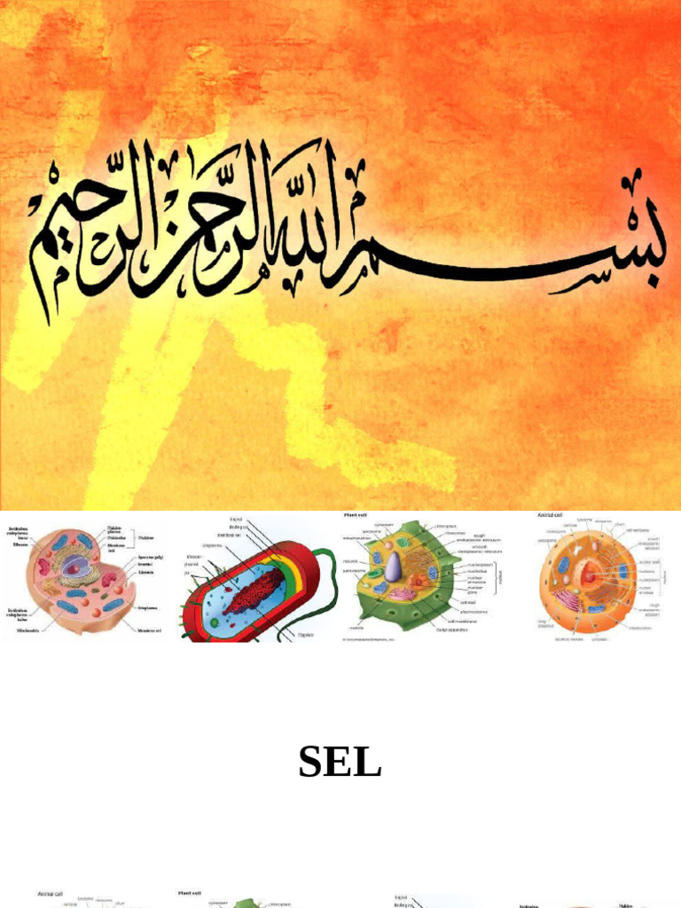 Sel - Kelompok 1 Biokimia | PDF