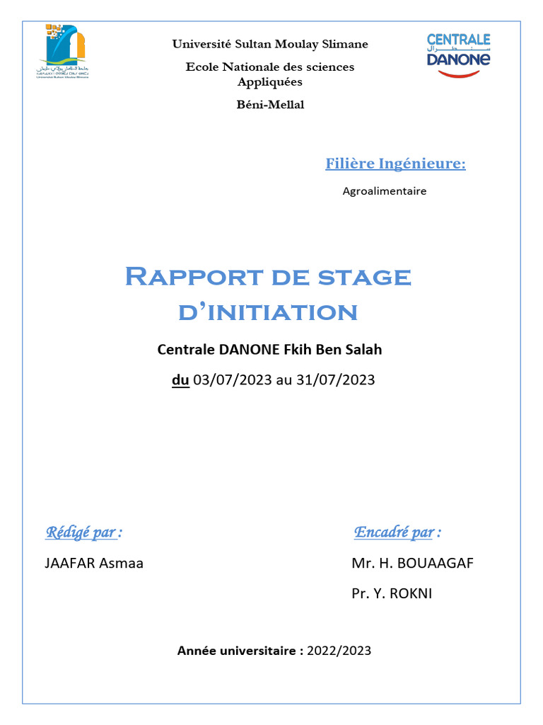Rapport de Stage Central Danone F | PDF