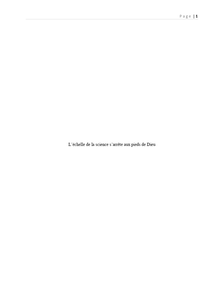 MINE - MEMOIRE Final | PDF