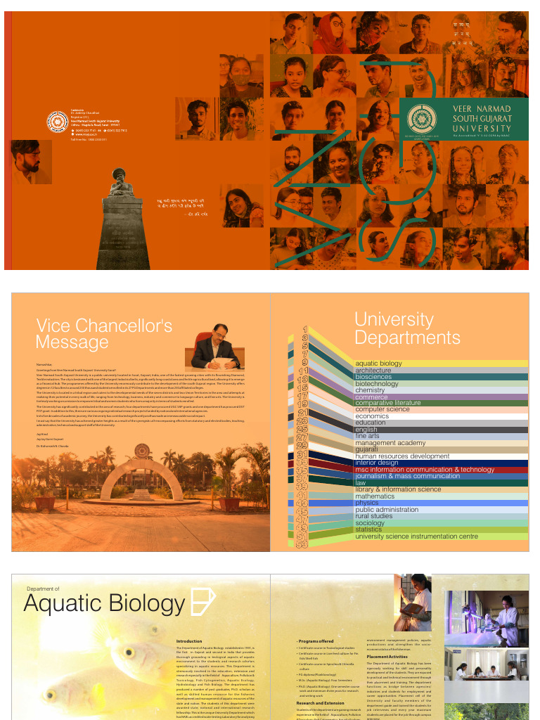 University Brochure | PDF