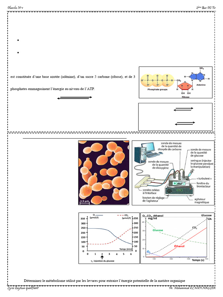 Documents 2bac PC Biof Elmeknassia | PDF