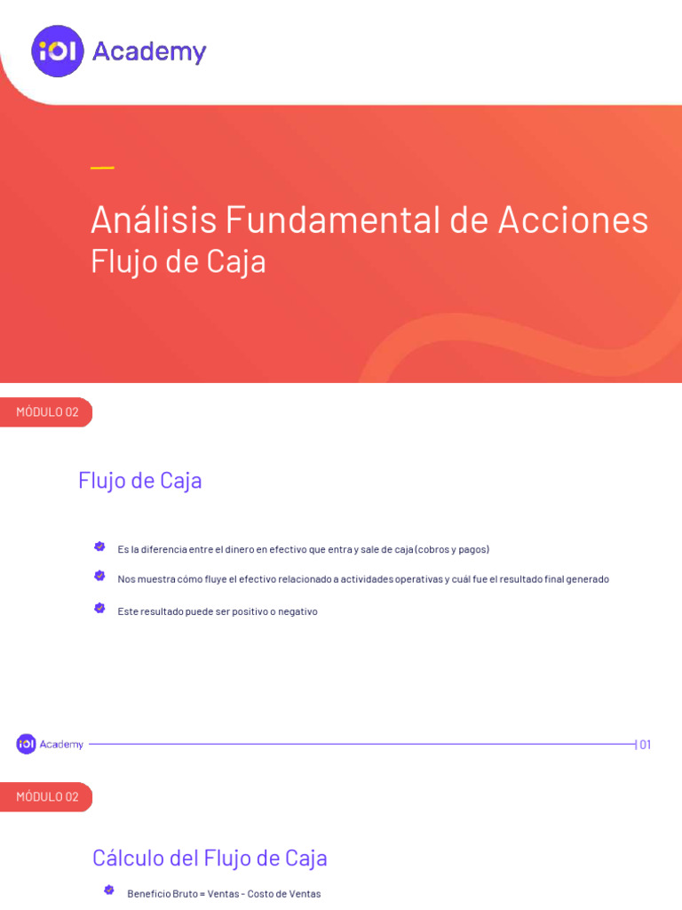 FlujodeCaja 220118 151341 | PDF