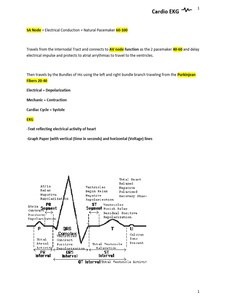 Cardiovascular EKG Review | PDF | Electrocardiography | Medical Specialties