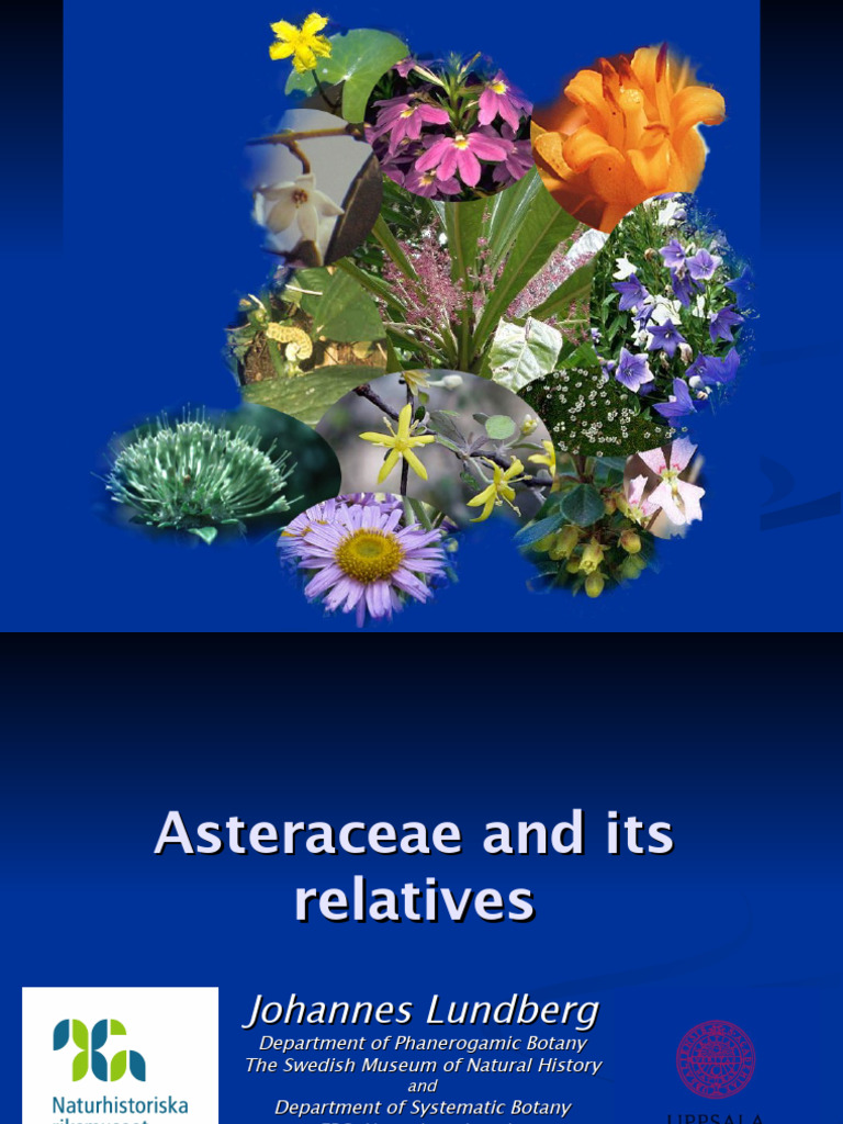 Asteraceae and Its Relatives. | PDF | Botany | Plant Reproduction