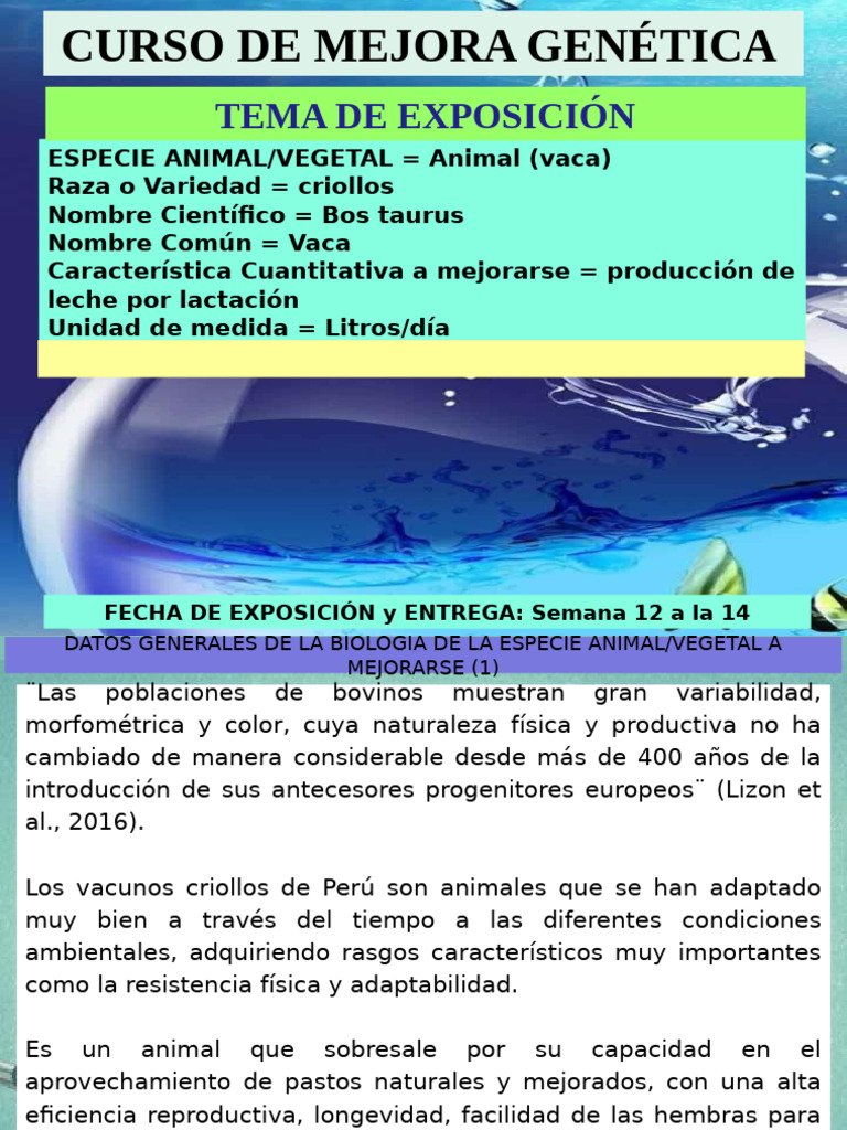 Trabajo de Exposicion FINAL | PDF