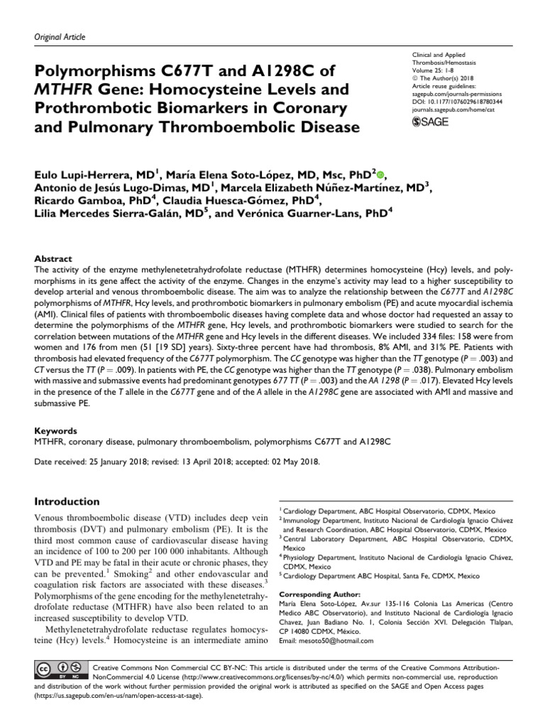 MTHFR Si IMA + TEP | PDF