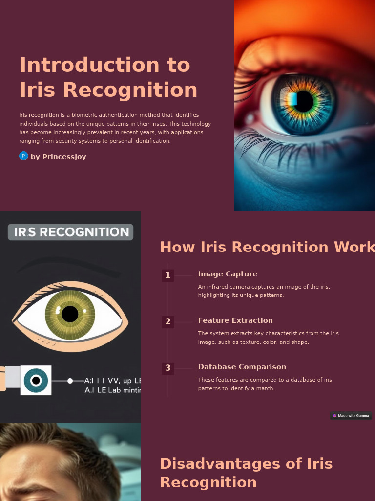 Introduction To Iris Recognition | PDF