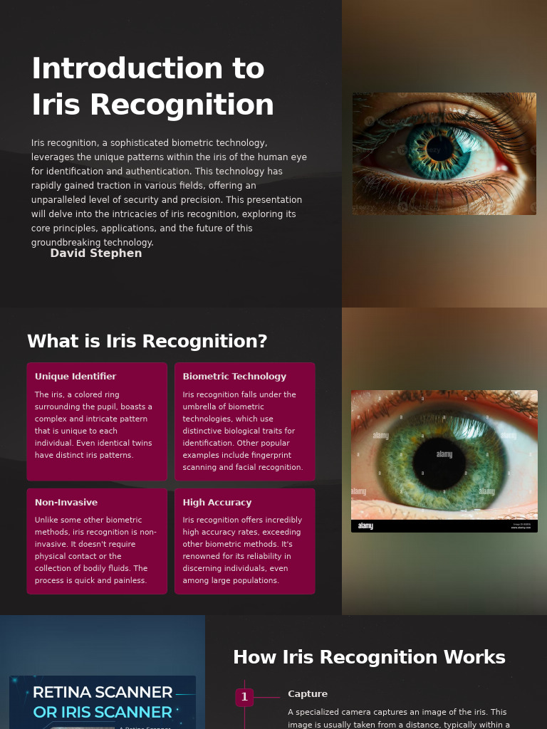 Introduction To Iris Recognition | PDF
